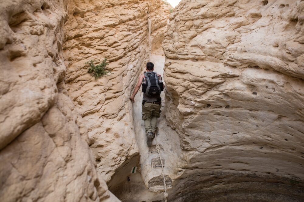 10 reasons your next trip should be to the Negev - ISRAEL21c