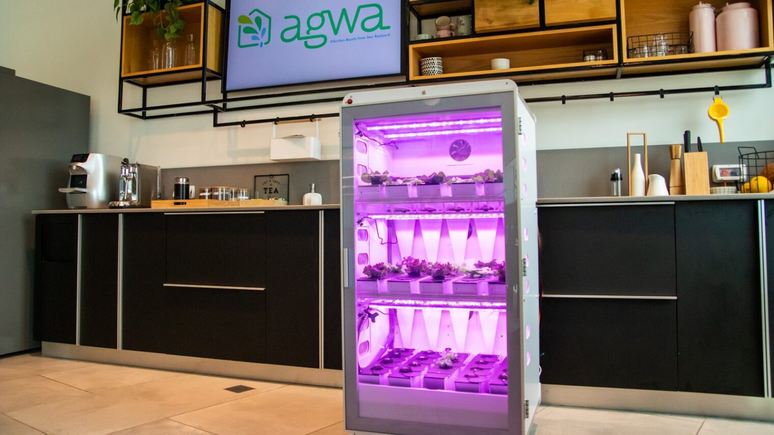 Growing vegetables at home has never been so easy - ISRAEL21c