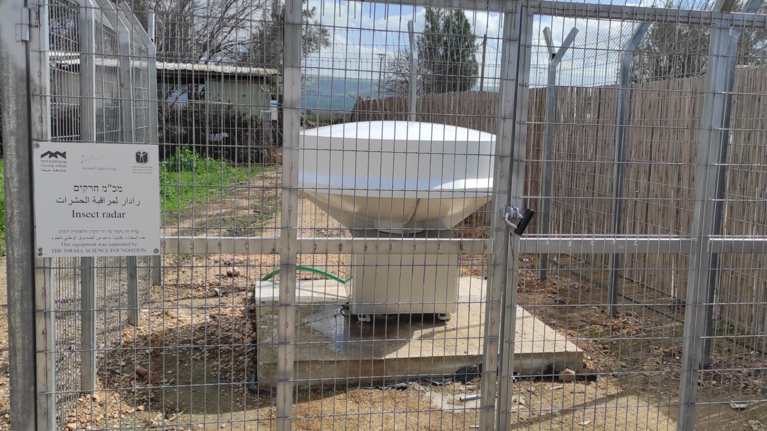 What’s bugging the Hula Valley? - ISRAEL21c