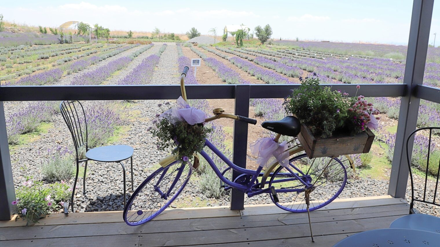 10 sights you don’t want to miss in the Golan Heights - ISRAEL21c