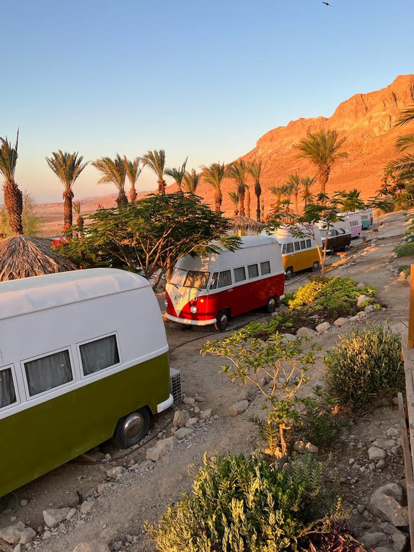 Camper vans bring hippie culture to a Dead Sea visit - ISRAEL21c