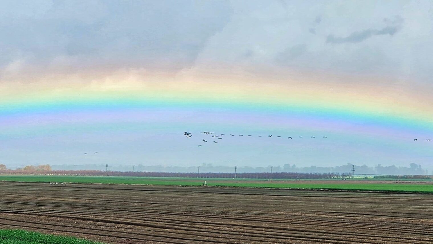 KKL-JNF opens Israel Climate Center to fight climate crisis - ISRAEL21c