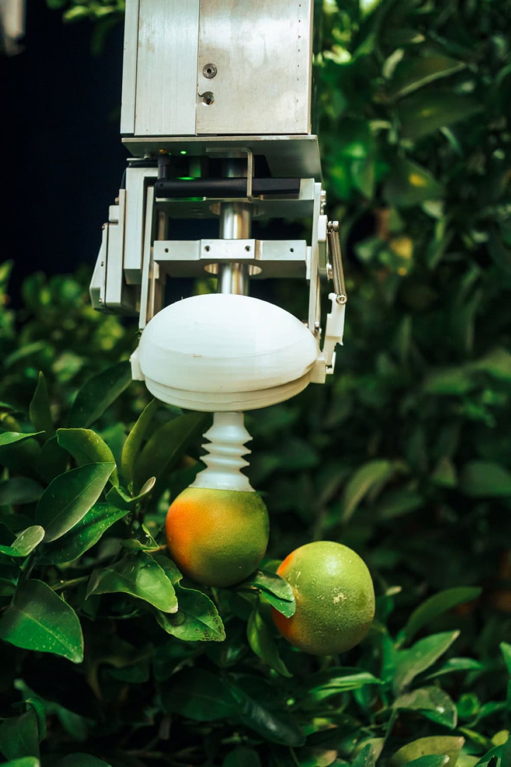 Meet the farm robot that picks citrus fruit - ISRAEL21c